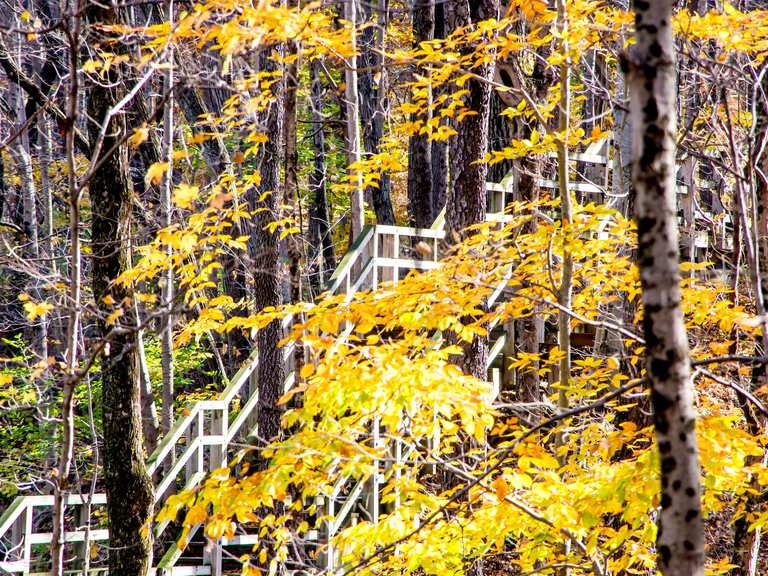 Lawrence Creek Nature Preserve: Wanderungen und Rundwege | komoot