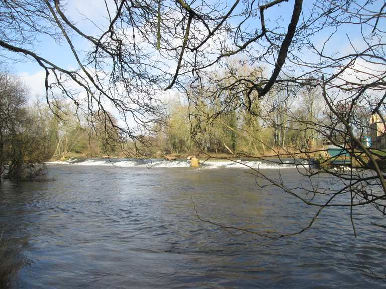 Howsham Wood und Kirkham Priory Schleife von Howsham Bridge — Howardian ...