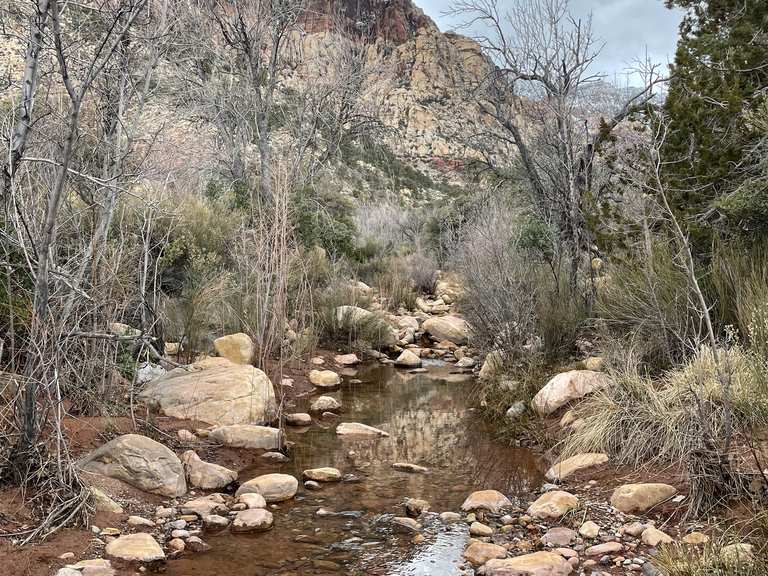 Bucle de Potato Knoll (Wilson Pimple) desde South Oak Creek Trailhead ...