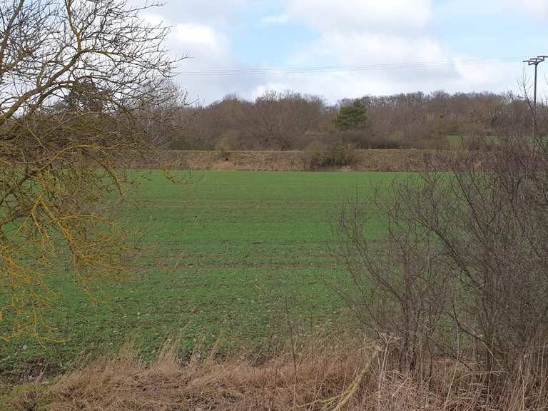 Bahndamm bei Gielow: Radtouren und Radwege | komoot