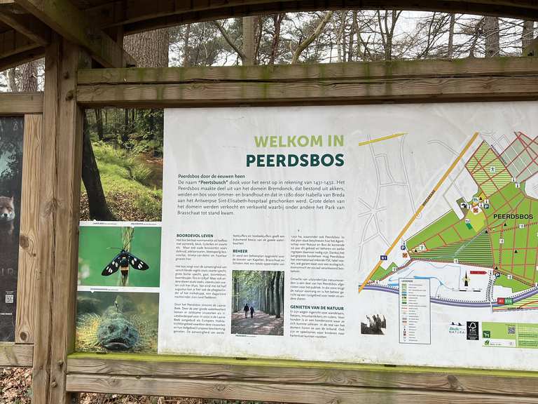 Het Peerdsbos wandelroutes en hikes | Komoot