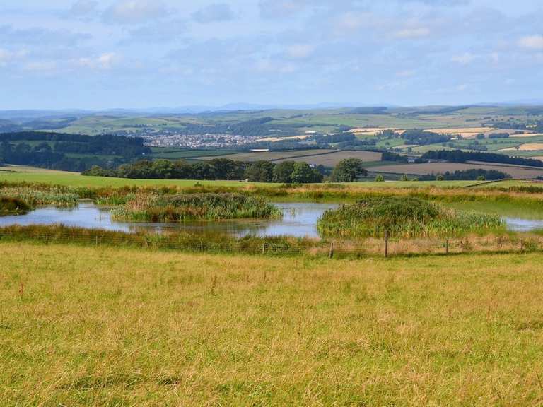 Loop de Rubers Law de Denholm — Roxburghshire | trilha | komoot