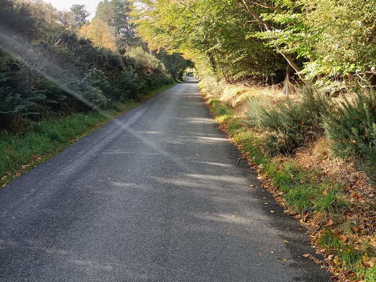 NCN1 & EV1 cycle routes at Delgaty Wood Road Cycle Routes and Map | Komoot