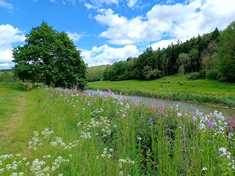 Étape 5 : Stamford Bridge à Malton - White Rose Way | randonnée ...