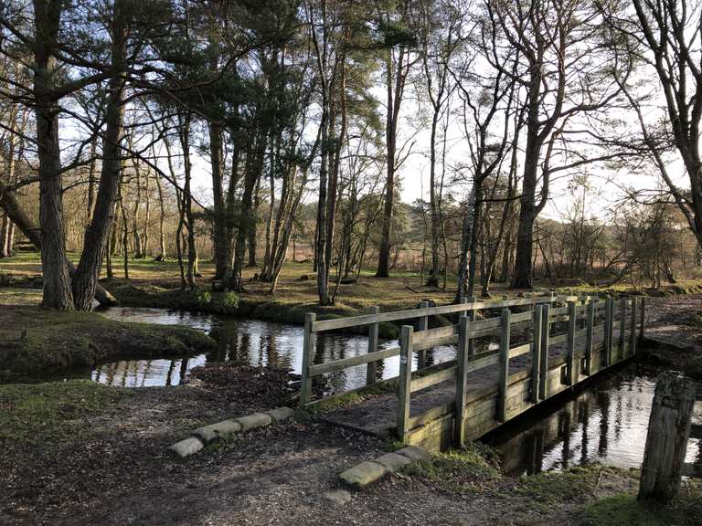 Huff Duff - New Forest National Park | wycieczka piesza | Komoot