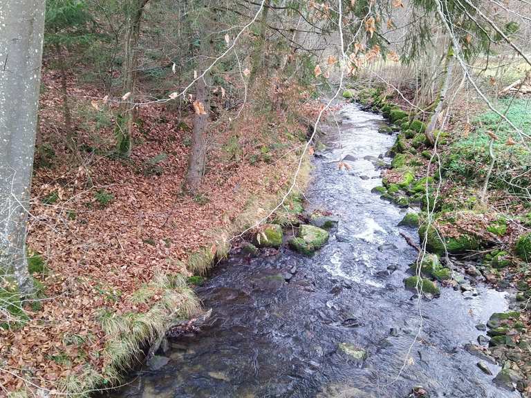 Brettach Brücke: Wanderungen und Rundwege | komoot