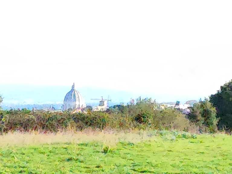 Parco Regionale Urbano del Pineto : Radtouren und Radwege | komoot