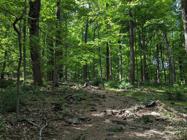 Cunningham Falls via Cliff Trail — Catoctin Mountain Park | hike | Komoot