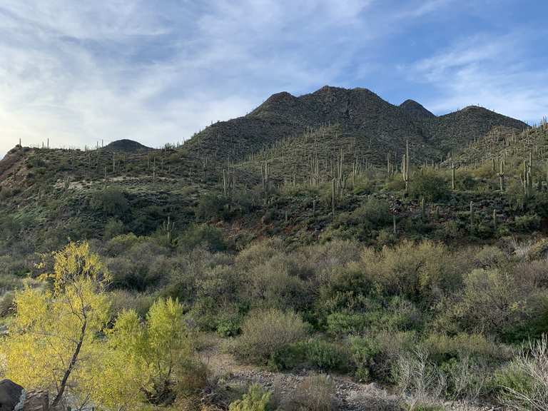 Spur Cross Ranch & Jewel of the Creek Loop Tour — Spur Cross Ranch ...
