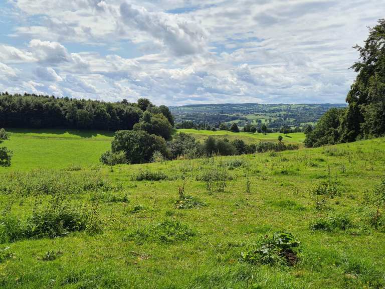 Matos, florestas e vistas deslumbrantes - 10 corridas de trilha em ...