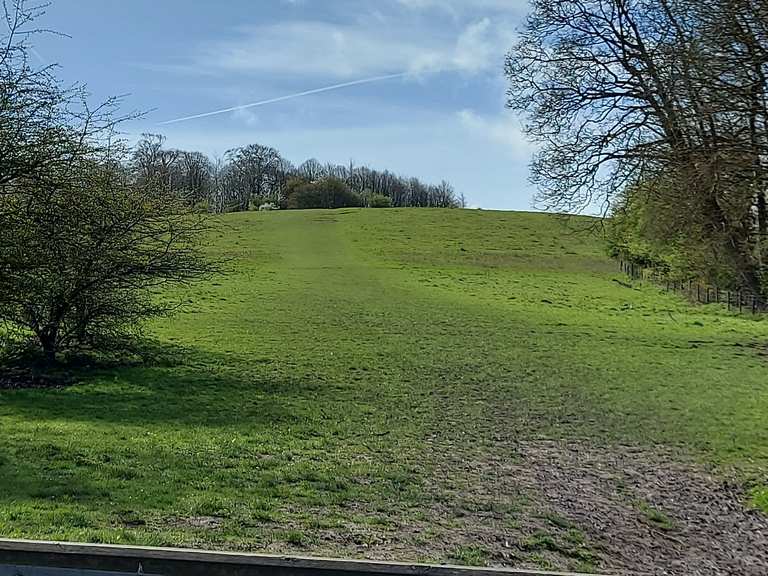 Wittenham Clumps – Dorchester Abbey loop from Little Wittenham | hike ...