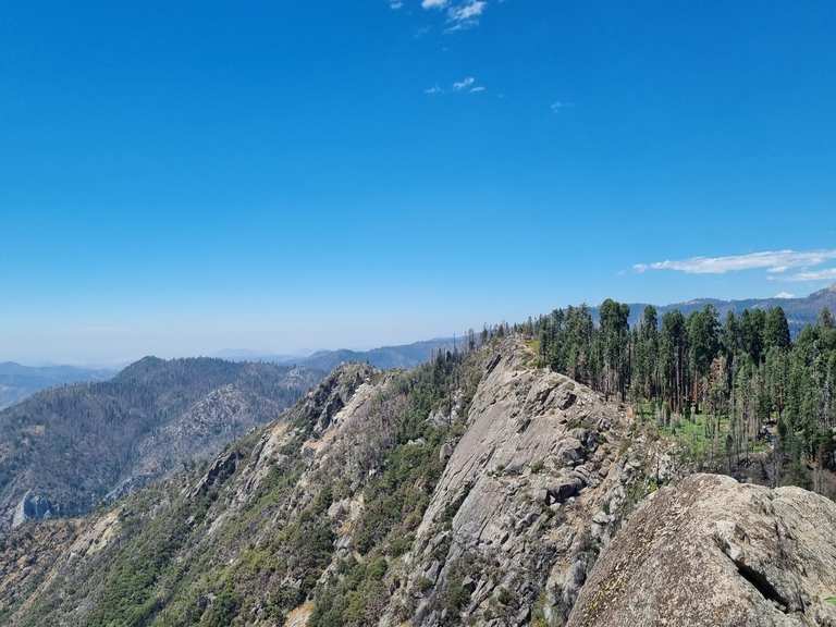 Moro Rock Trail - Routes for Walking and Hiking | Komoot