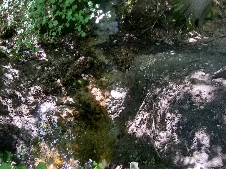 Grab von Bruno Brusten – Wanderungen & Anfahrt | Komoot