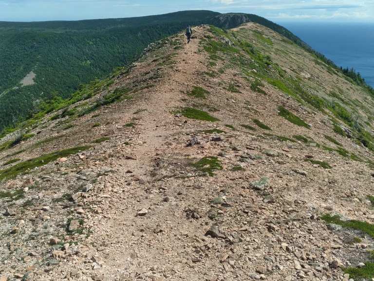 Kauzmann Trail — Bay Saint Lawrence East | caminhada | Komoot