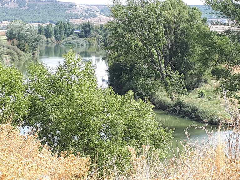Beautiful stretch of the Canal de Castilla Mountain Bike Trails ...
