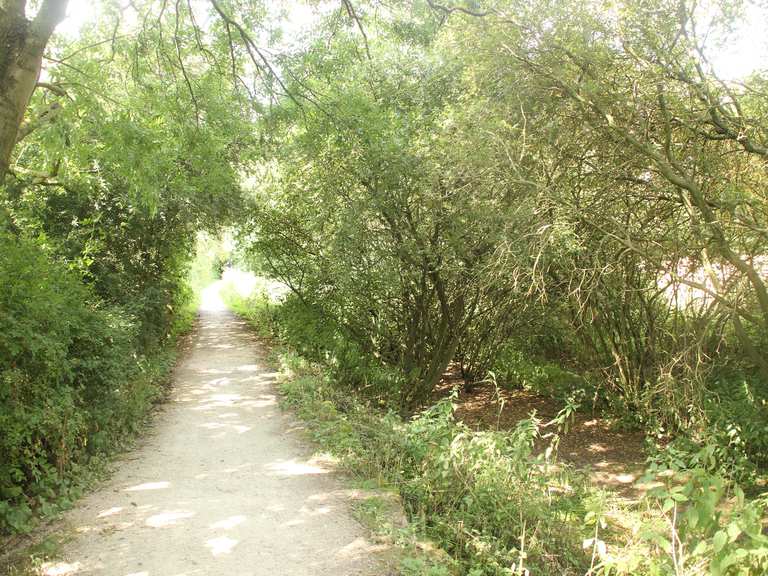 Nottingham Canal Nature Reserve & the Hemlock Stone loop from Bramcote ...