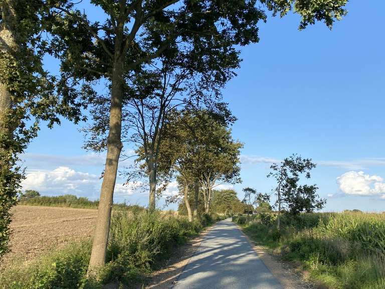 Alte Bahntrasse (Schleswig–Süderbrarup): Radtouren und Radwege | komoot