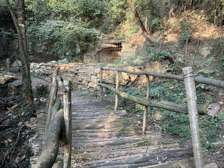 Monte Bronzone Summit Trail (via CAI 760) | Caminata | Komoot