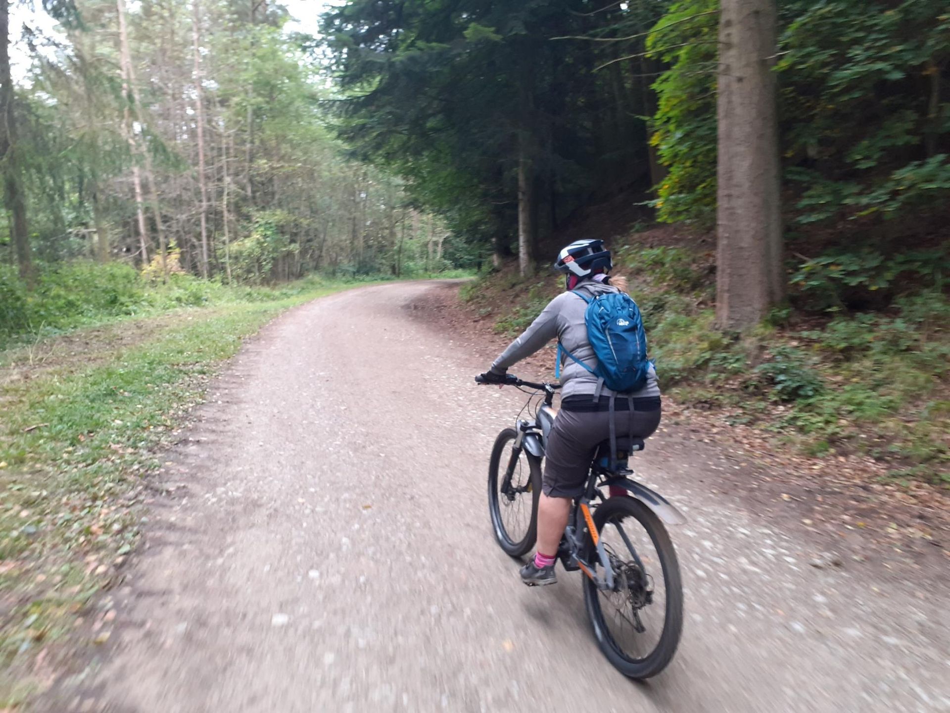 Walking and running trails at Dalby Forest | Hiking Collection by komoot