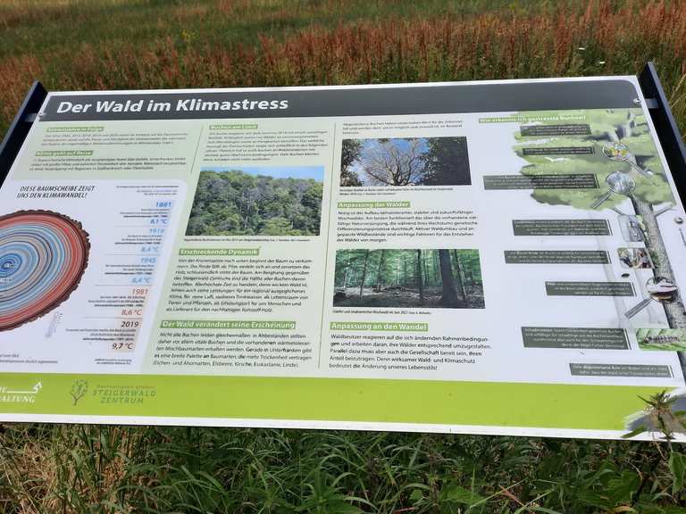Infotisch Wald: Wanderungen und Rundwege | komoot