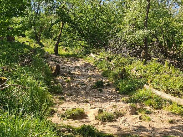 La boucle du West Mendip Way depuis Cheddar — Mendip Hills | course ...