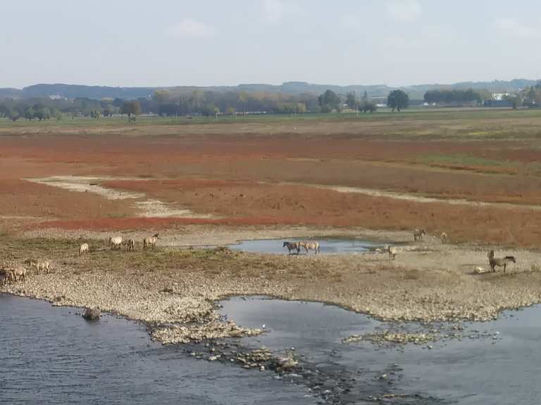 Winterdijk Lanaken / River Maas - wiellerroutes en kaart | Komoot