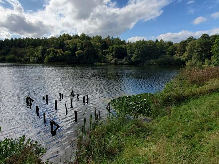 Boucle du Higher Fish Pond et du Lower Fish Pond depuis le parking ...