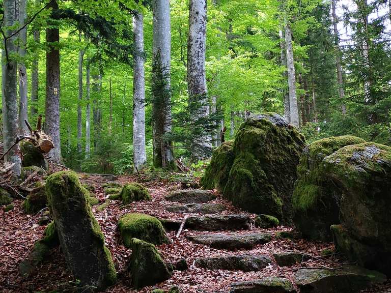 Wanderweg bei Guglöd: Wanderungen und Rundwege | komoot
