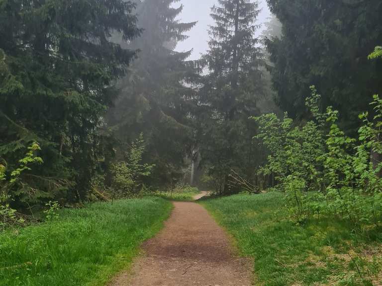 Rhön-Rennsteig-Wanderweg: Wanderungen und Rundwege | komoot