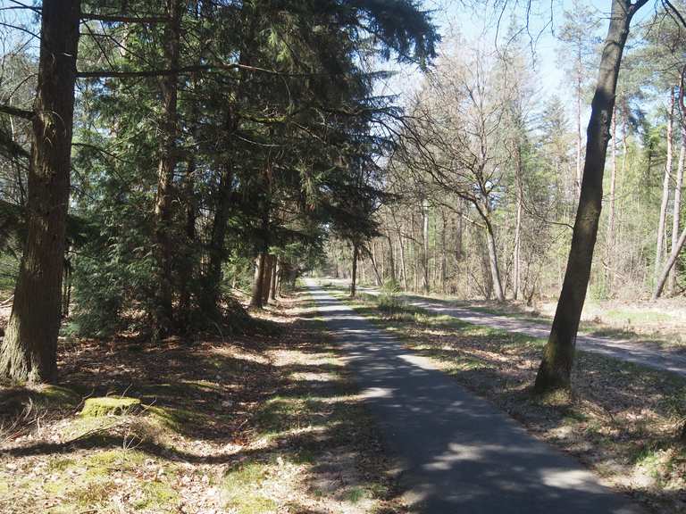 Radweg durch waldreiches Gebiet : Radtouren und Radwege | komoot