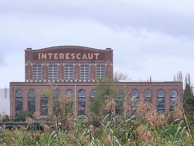 Scheldedijk Rupelmonde wandelroutes en hikes | Komoot