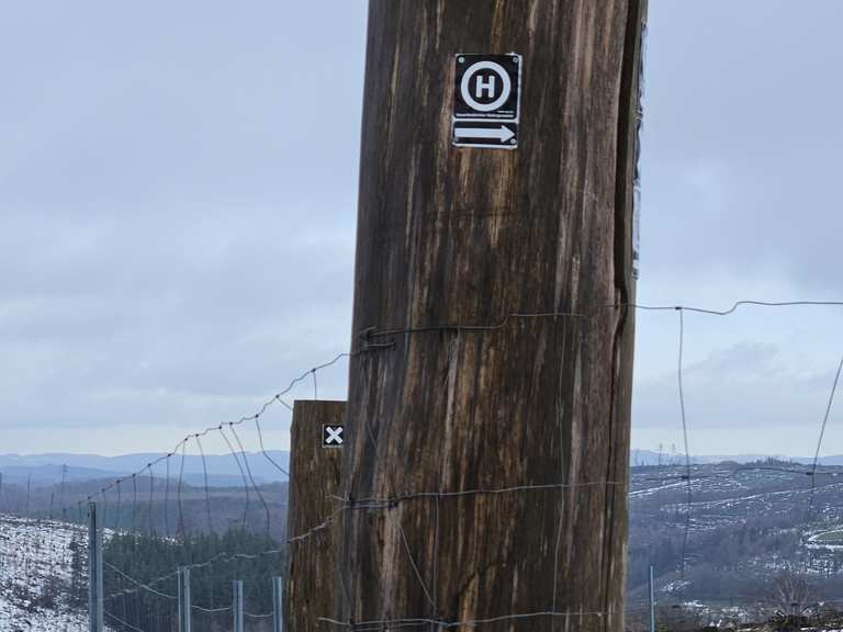 Blick auf Herscheid: Wanderungen und Rundwege | komoot