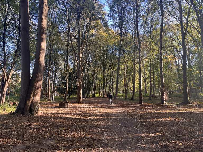 Étangs de Boitsfort – Chemin forêt de Soignes Rondje vanuit Uccle-Calevoet - Ukkel-Kalevoet ...