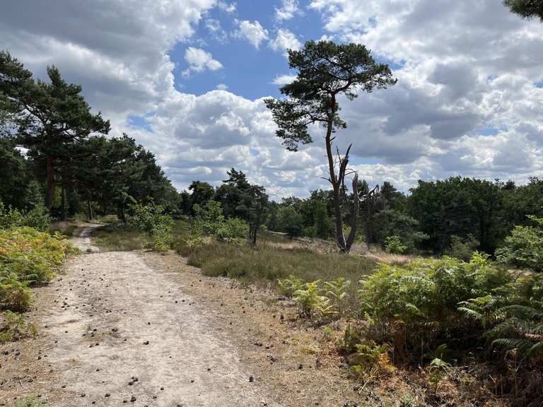 Domaine De Hamert - Parc national De Maasduinen | randonnée pédestre ...