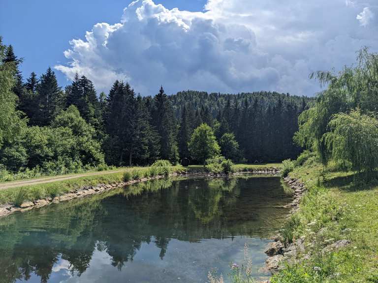 Markov Brlog – Bijela Vodica – Risnjak Trail loop from Bela Vodica ...