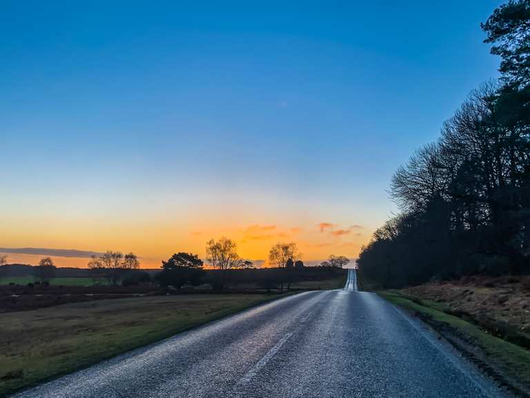 Bolderwood, Blissford Hill and Burley village loop — New Forest ...