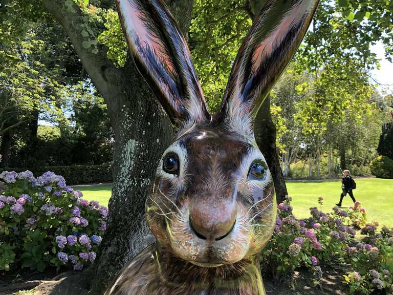 Howard Davis park: Wanderungen und Rundwege | komoot