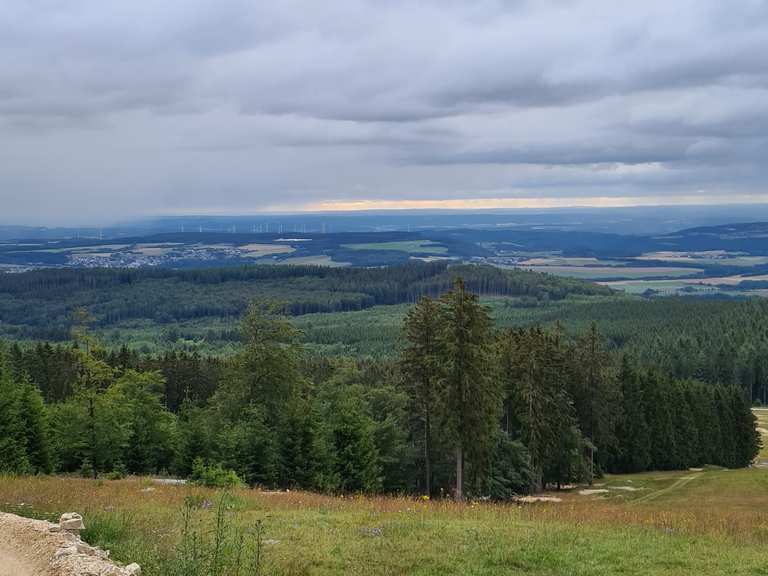 Erbeskopf (höchster Punkt von Rheinland-Pfalz): Wanderungen und ...
