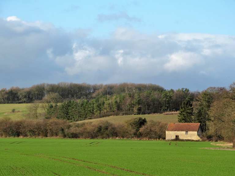 Stonegrave Minster et boucle de Cawton depuis Hovingham — Howardian ...