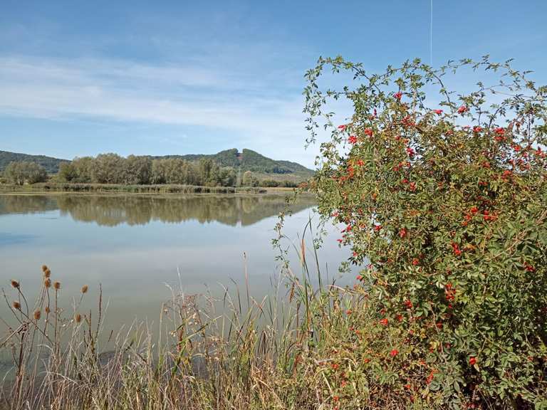 Lac de Madine — bucle desde Montsec en el parque natural regional de ...