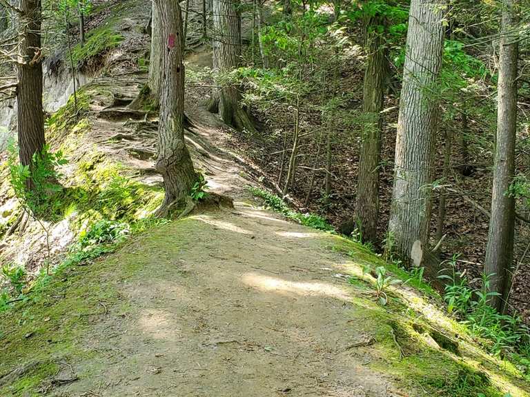 Ellison Park loop via Butler's Gap & Coyote Den Trails | hike | Komoot