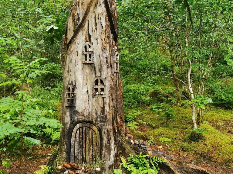 Doon Hill Routes for Walking and Hiking | Komoot