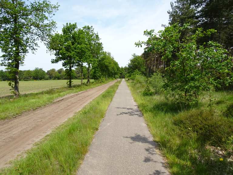 Mooi fietspad door het bos : Radtouren und Radwege | komoot