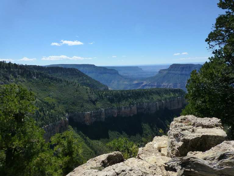 Rainbow Rim Trail loop — Grand Canyon National Forest ...