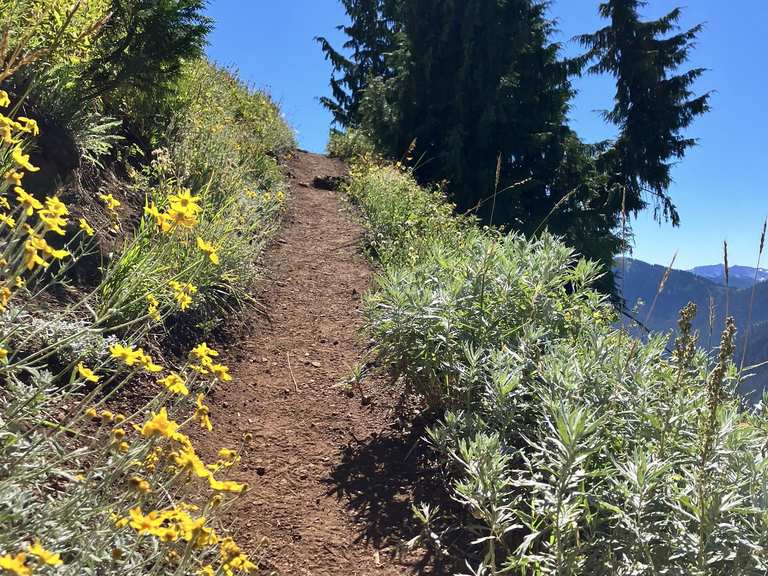 Mount Angeles via Switchback Trail — Olympic National Park | hike | Komoot