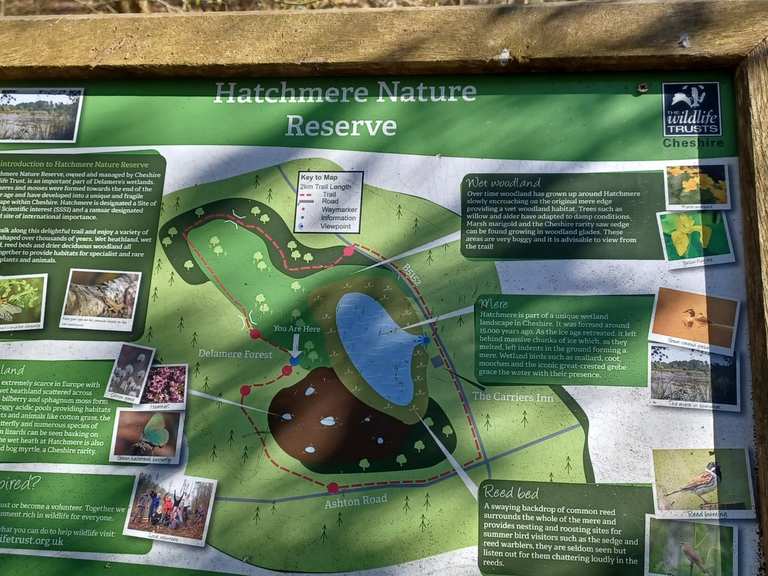 Hatchmere Nature Reserve: Wanderungen und Rundwege | komoot