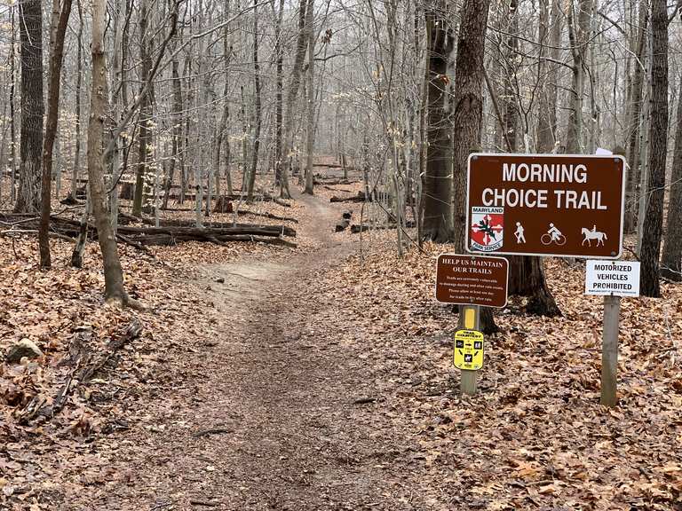 Inicio del sendero Morning Choice y Cruce de ramales (Nacho Trail ...