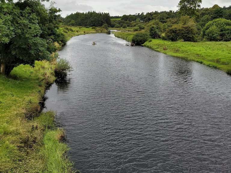Poulaphouca Reservoir loop from Blessington – Wicklow Mountains ...