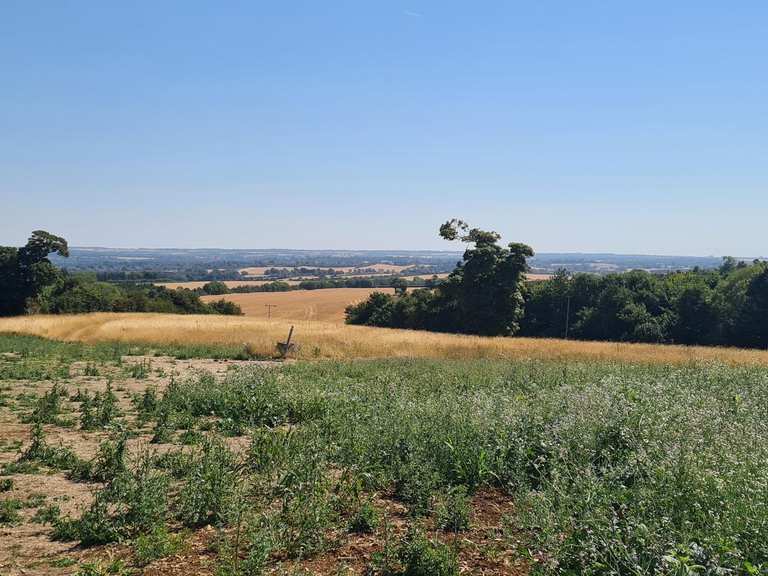 Lodgefield Plantation en Knocking Hoe National Nature Reserve lus vanaf ...