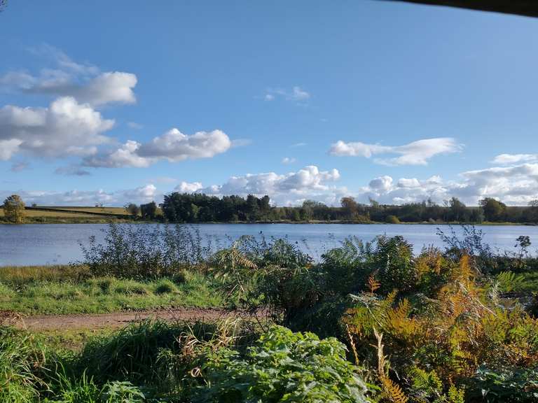 Cropston Reservoir Northwest Shore Routes for Walking and Hiking | Komoot